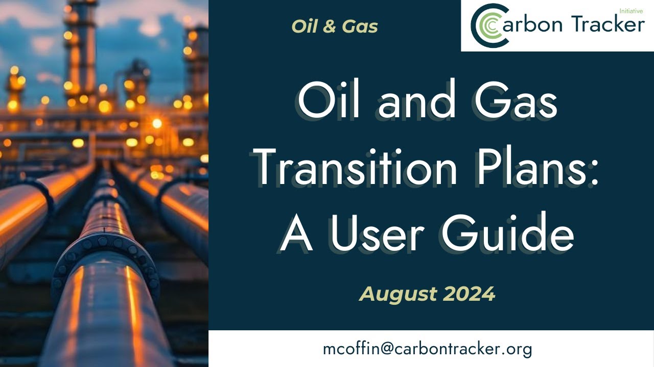 How to Guide the Oil & Gas Sector to Decarbonisation: Transition Plans ...