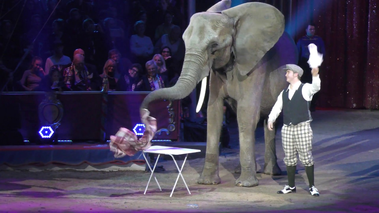 Erwin FRANKELLO - Clowns d'Argent/Silver Clown Monte-Carlo 2017 4K ...