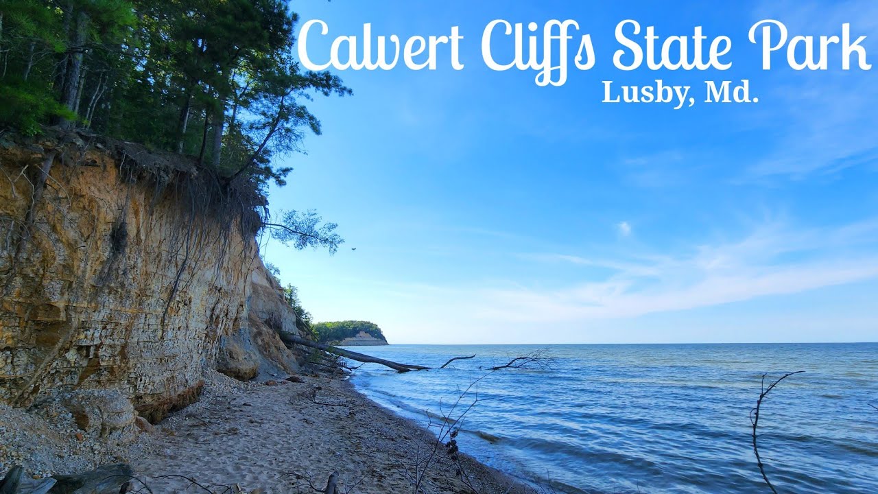 Calvert Cliffs State Park in Lusby, Maryland - YouTube