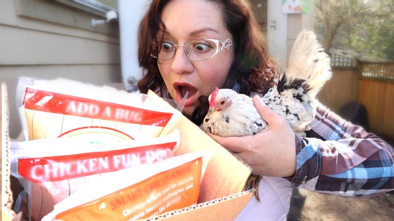 I Got the MOTHERLOAD 😱🐔 ️ - YouTube