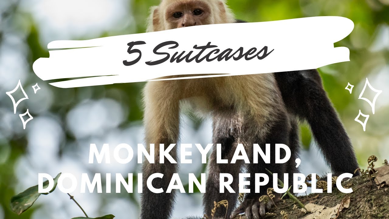 A Visit to Monkeyland in Puerto Plata, Dominican Republic for the Twins ...