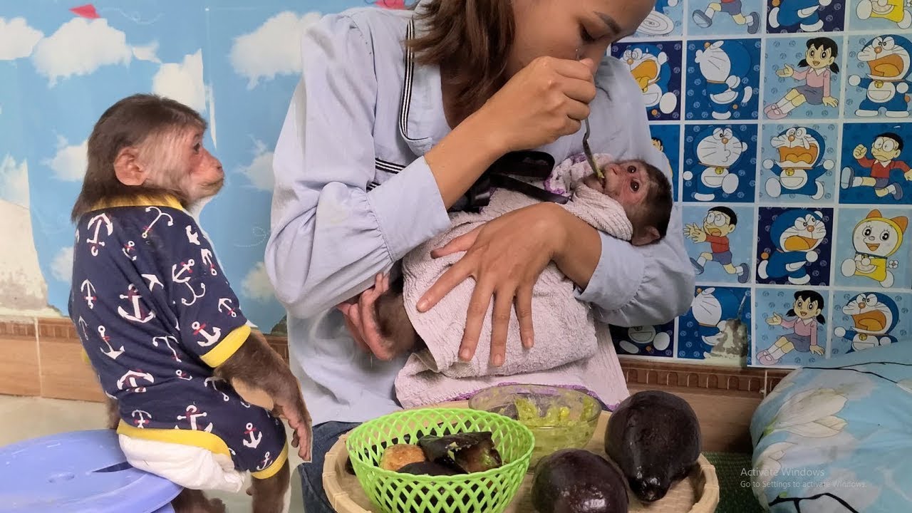 Good God !!! Mimi Monkey has started eating again - YouTube