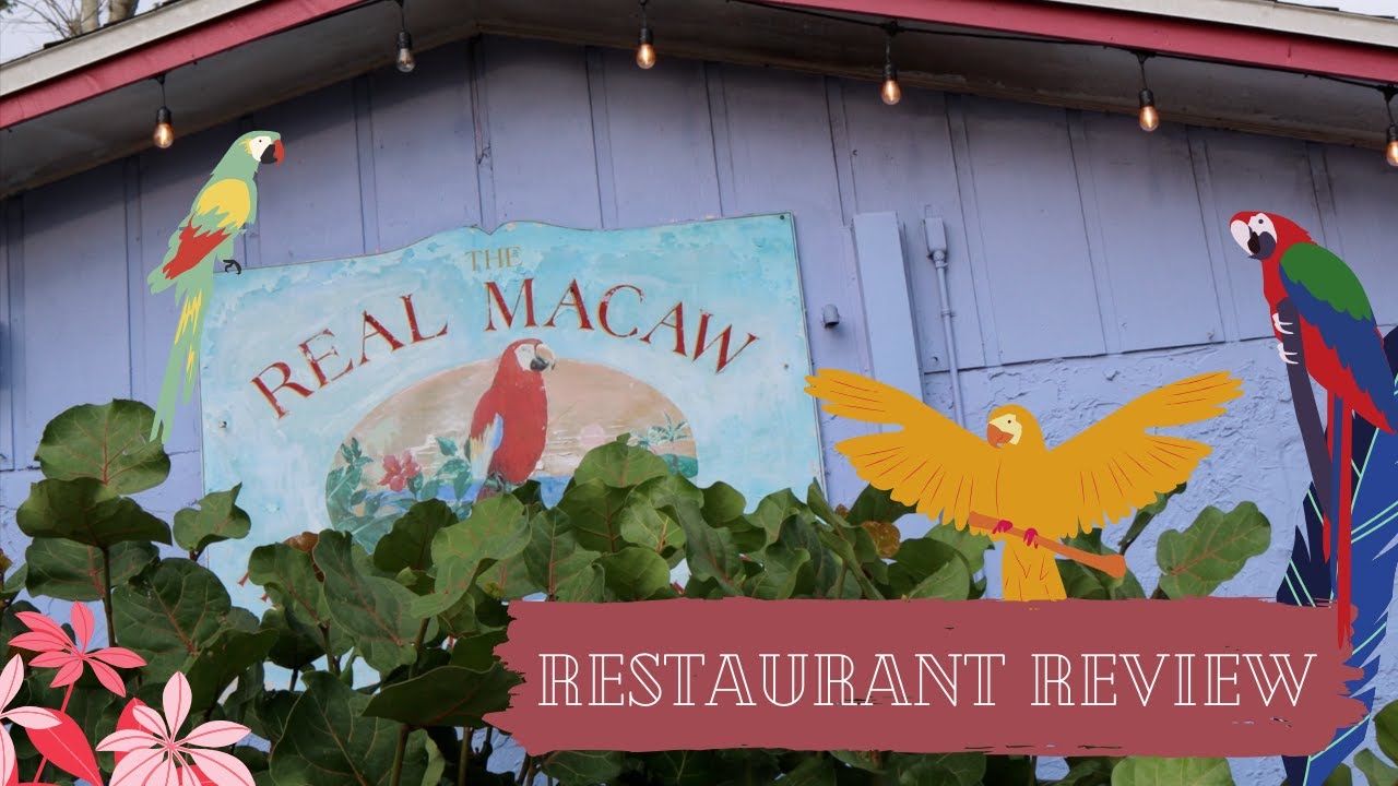 Best Naples Florida Restaurants - The Real Macaw - YouTube