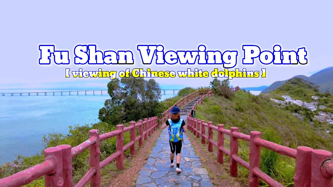Viewing of Chinese white dolphins || fu Shan Viewing Point - YouTube