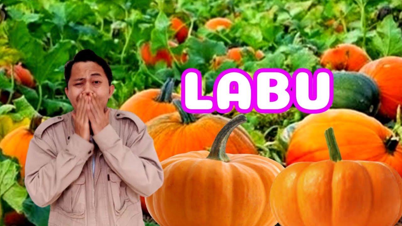 ASAL USUL LABU - YouTube