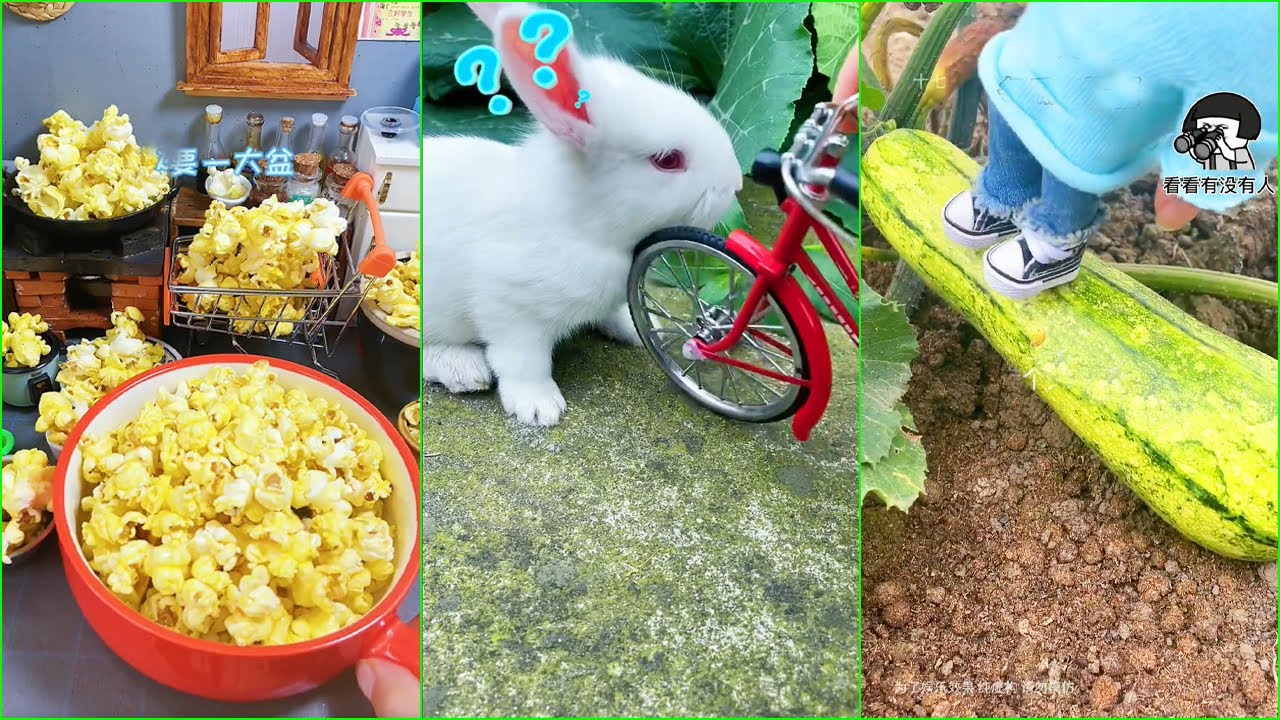 Funny Little Food Cooked - Mini Cooking - 微小的食物 #5 - YouTube