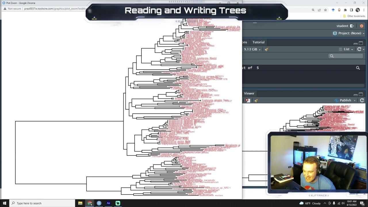 Intro To Bioinformatics Treeio Vdb Computational Biology Youtube