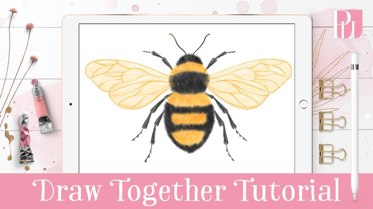How to draw a Bee step by step in Procreate Tutorial - YouTube
