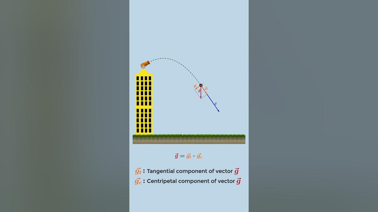 How the Centripetal Acceleration affects a parabolic motion | Animated ...