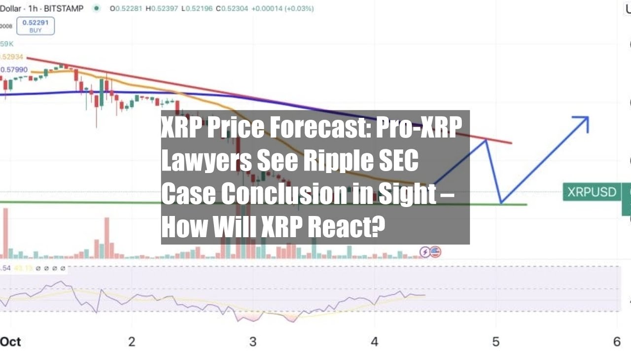 XRP Price Forecast: Pro-XRP Lawyers See Ripple SEC Case Conclusion ...