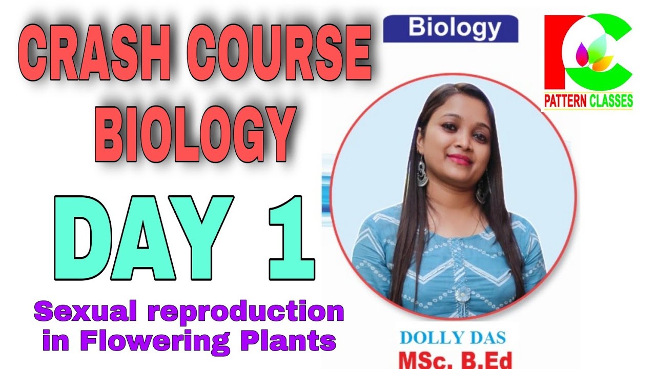 Pattern classes : Crash course Biology Day 1 : Sexual Reproduction in ...