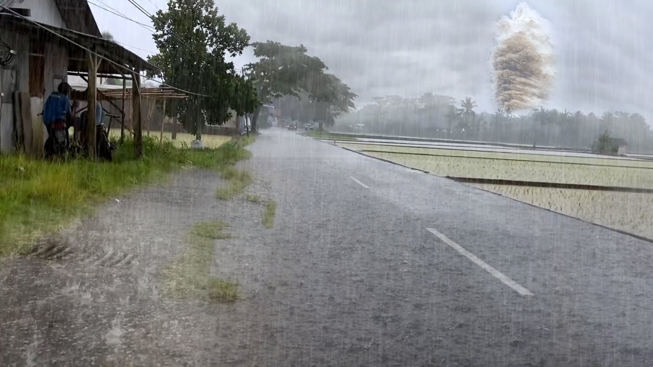 Super Very Big Rain Super strong Wind Extreme in Village Red soil ...