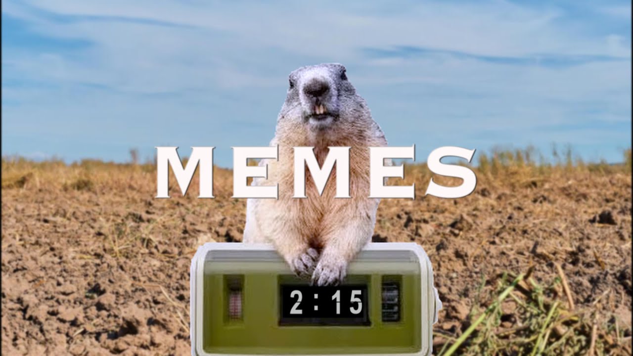WAKE UP to MEMES! - YouTube
