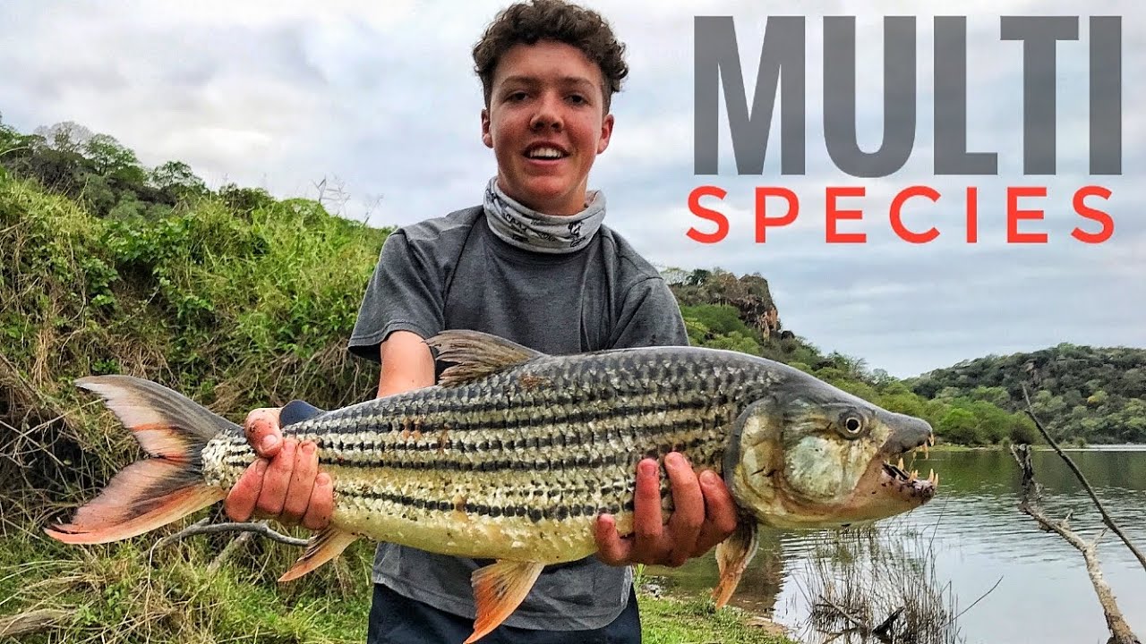 Multi-Species Bank fishing (big tigerfish landed) - YouTube