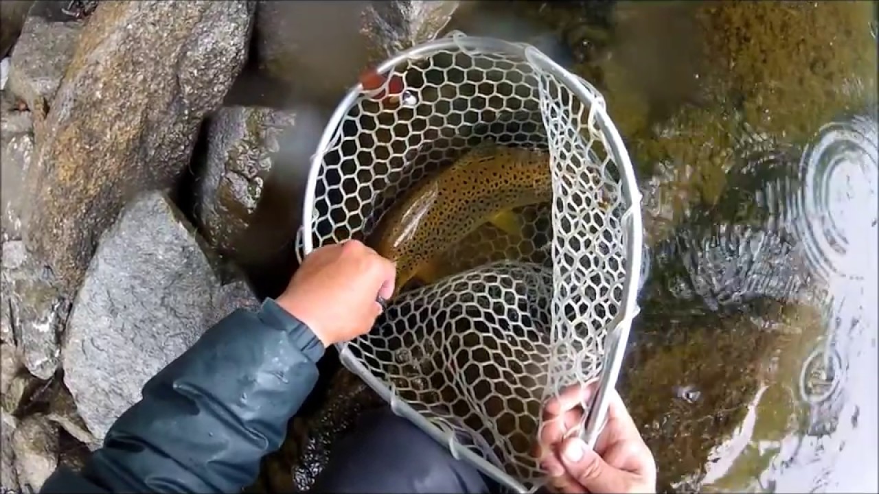 2013' SAMONGACHI PRESENTS May.29.30th 中禅寺湖 GACHI 蝉 TOP WATER FISHING ...