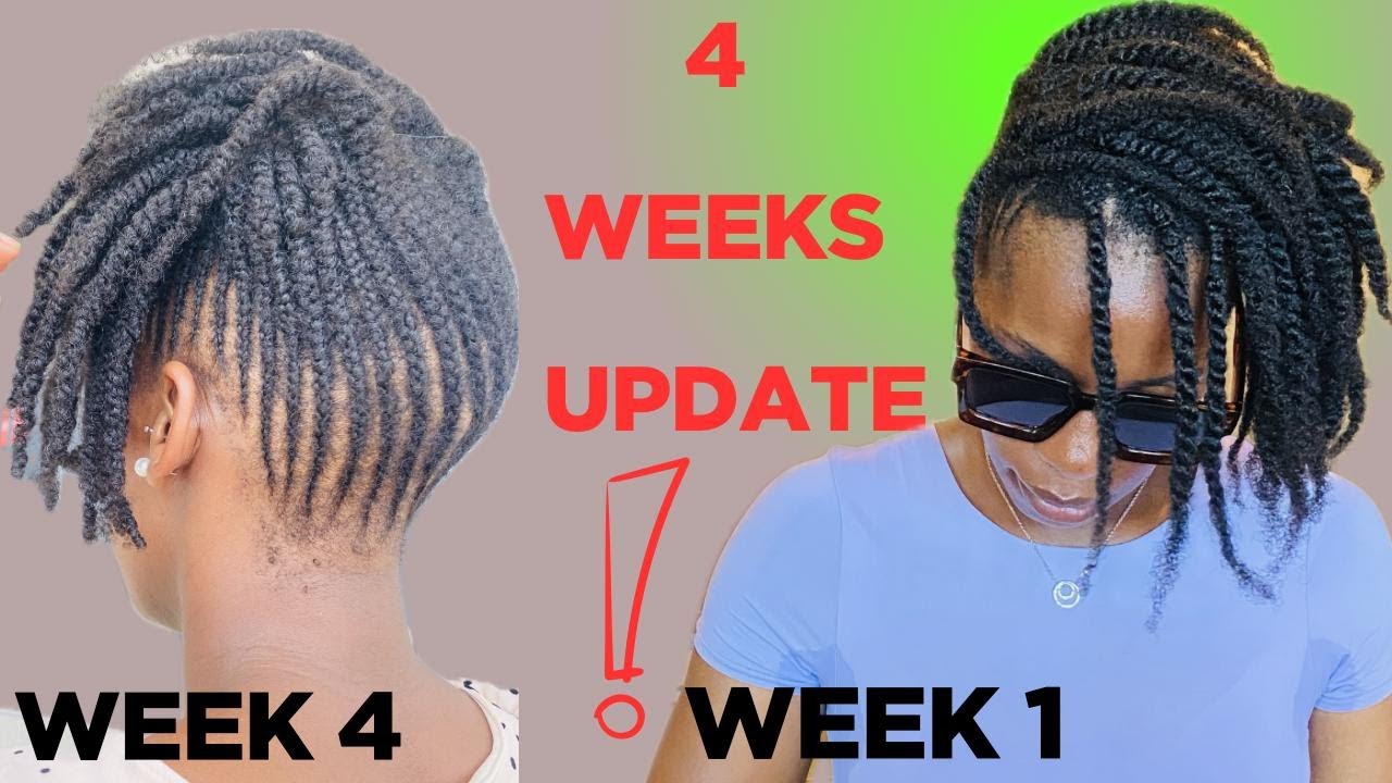 😒4 WEEKS MINI TWIST & BRAIDS UPDATE | My Routine for GUARANTEED hair ...