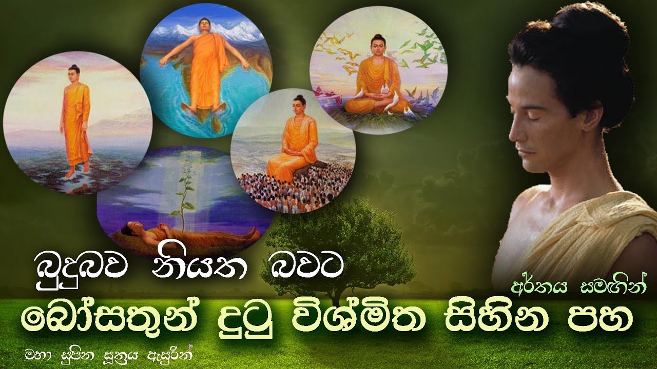 බෝසතුන් දුටු විශ්මිත වූ සිහින පහ සහ එහි අර්තය | lord budhdha | buddha ...