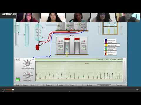 Taller de fisiología cardíaca (SimHeart) - Grupo 19 - YouTube