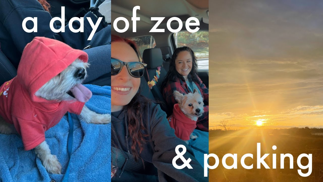 a vlog of zoey & packing! - YouTube