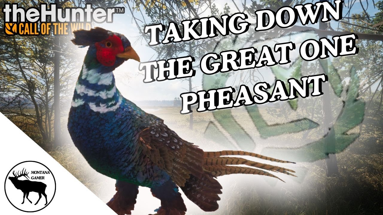 FASTEST Great One Pheasant Grind In Under 30 Kills!! | theHunter COTW ...