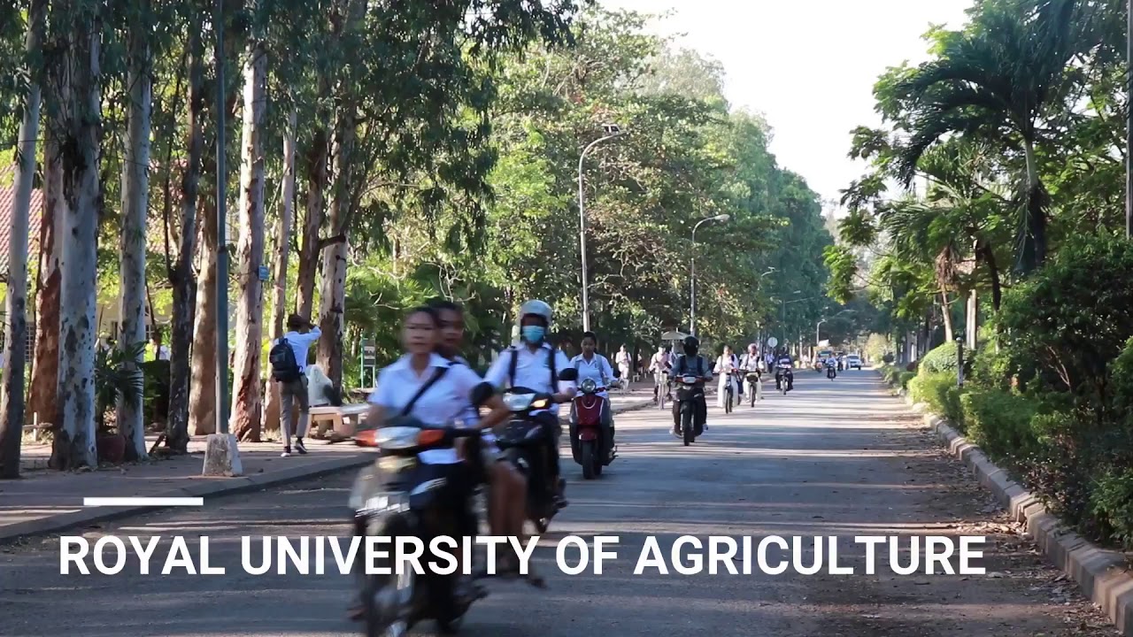 RUA សាកលវិទ្យាល័យភូមិន្ទកសិកម្ម Royal University of Agriculture - YouTube