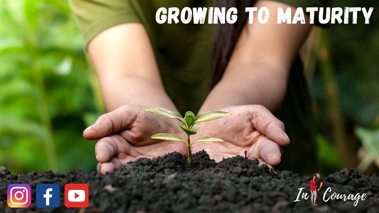 GROWING TO MATURITY - YouTube