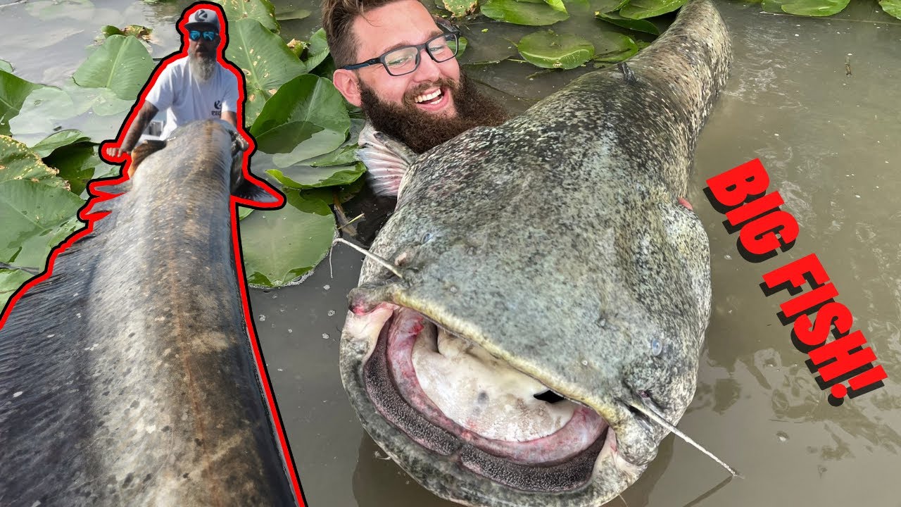 Unglaublich 😱 265cm Wels Rekord an der Spinnrute beim Wallercamp in ...