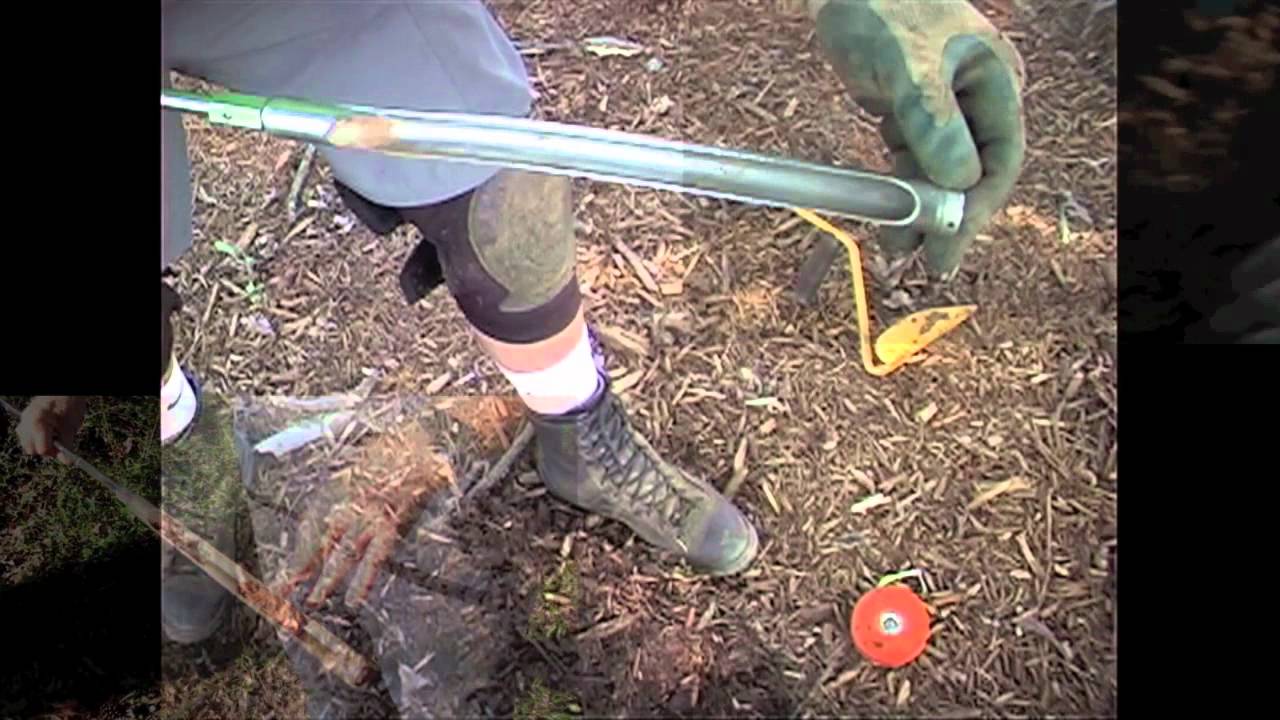 How to Assess a Root Collar & Preview of Tree Service Preservation ...