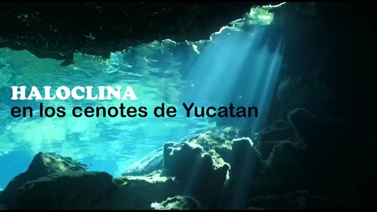 La Haloclina en los cenotes - YouTube