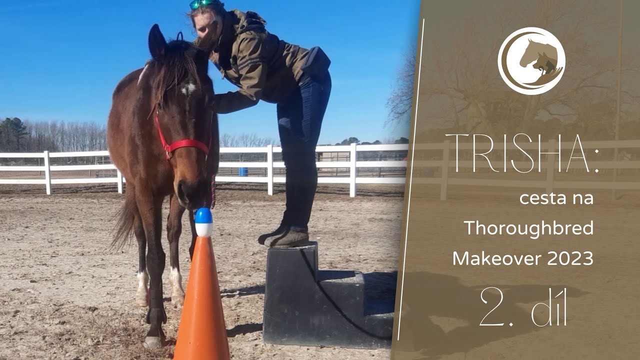 Trisha: Cesta na Tb Makeover 2023 - práce s targetem - YouTube