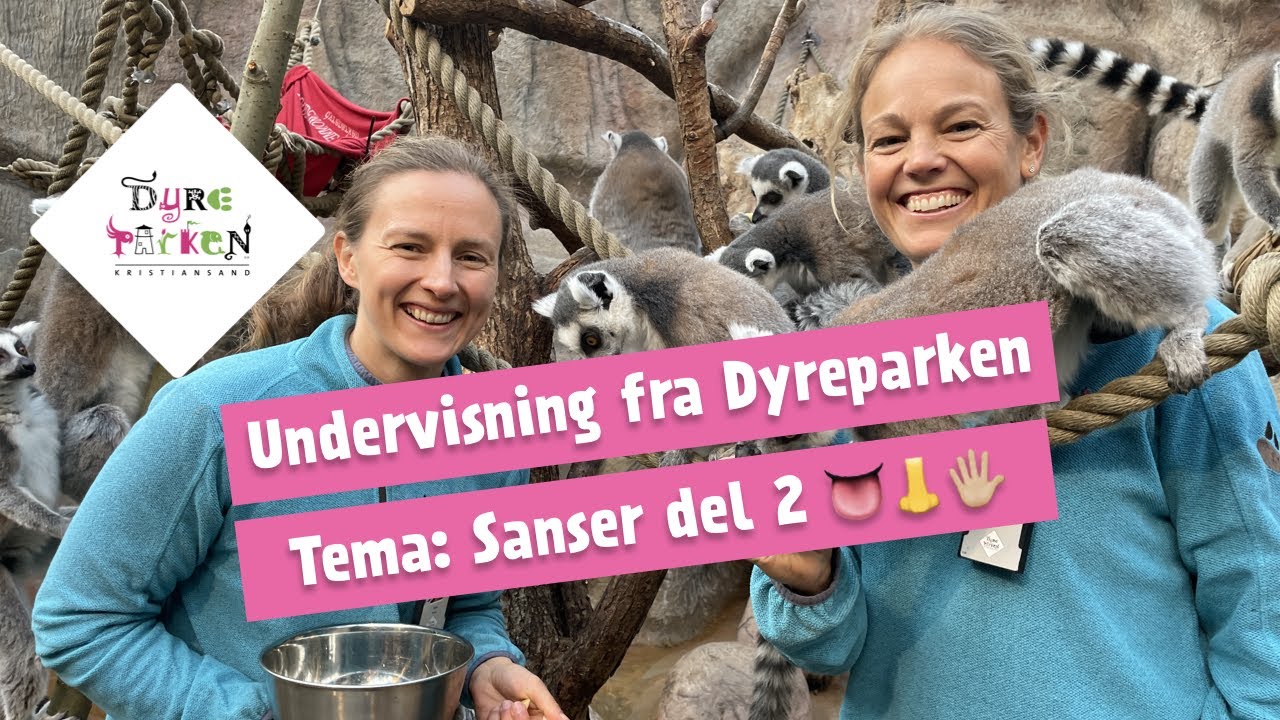 Undervisning fra Dyreparken: Sanser, del 2 👅👃🖐🏼 - YouTube