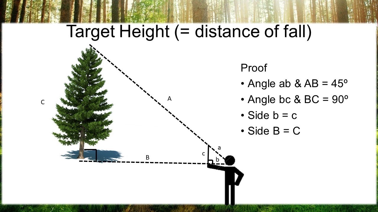 Target (felling plan 2 of 8) - YouTube