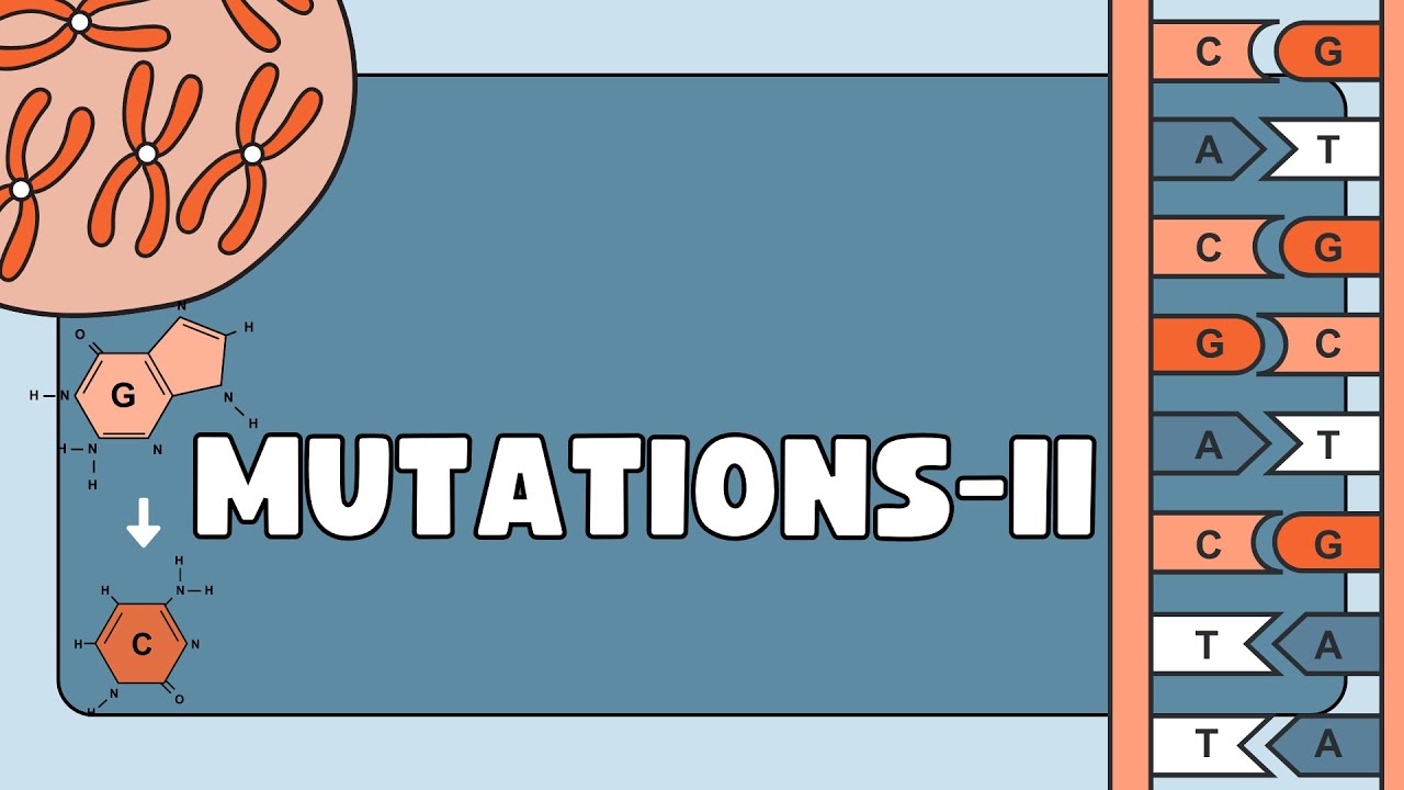 Mutation-II ||CSIR-NET||GATE||DBT|| - YouTube