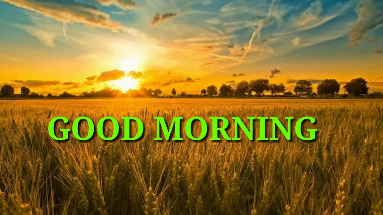 Good Morning Status video |Morning status video |Chand Rajpoot - YouTube
