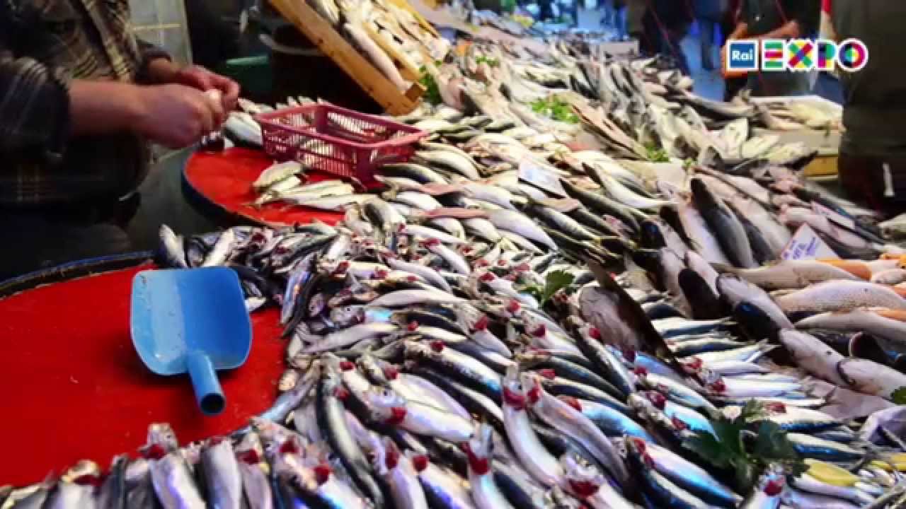 Eulogy of the anchovy - YouTube