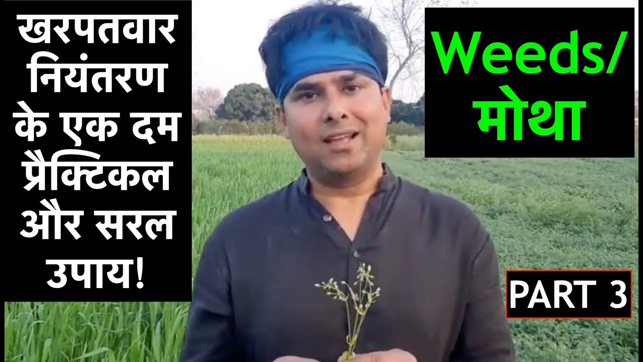 Weed Management In Organic Farming - Part 3 | खरपतवार प्रभंधन | Motha ...
