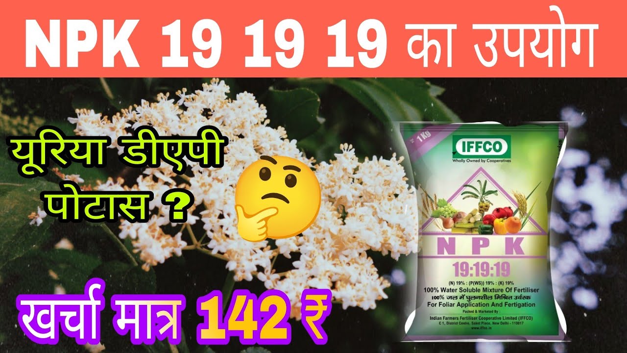 npk-19-19-19-npk-19-19-19-use-in-hindi-npk