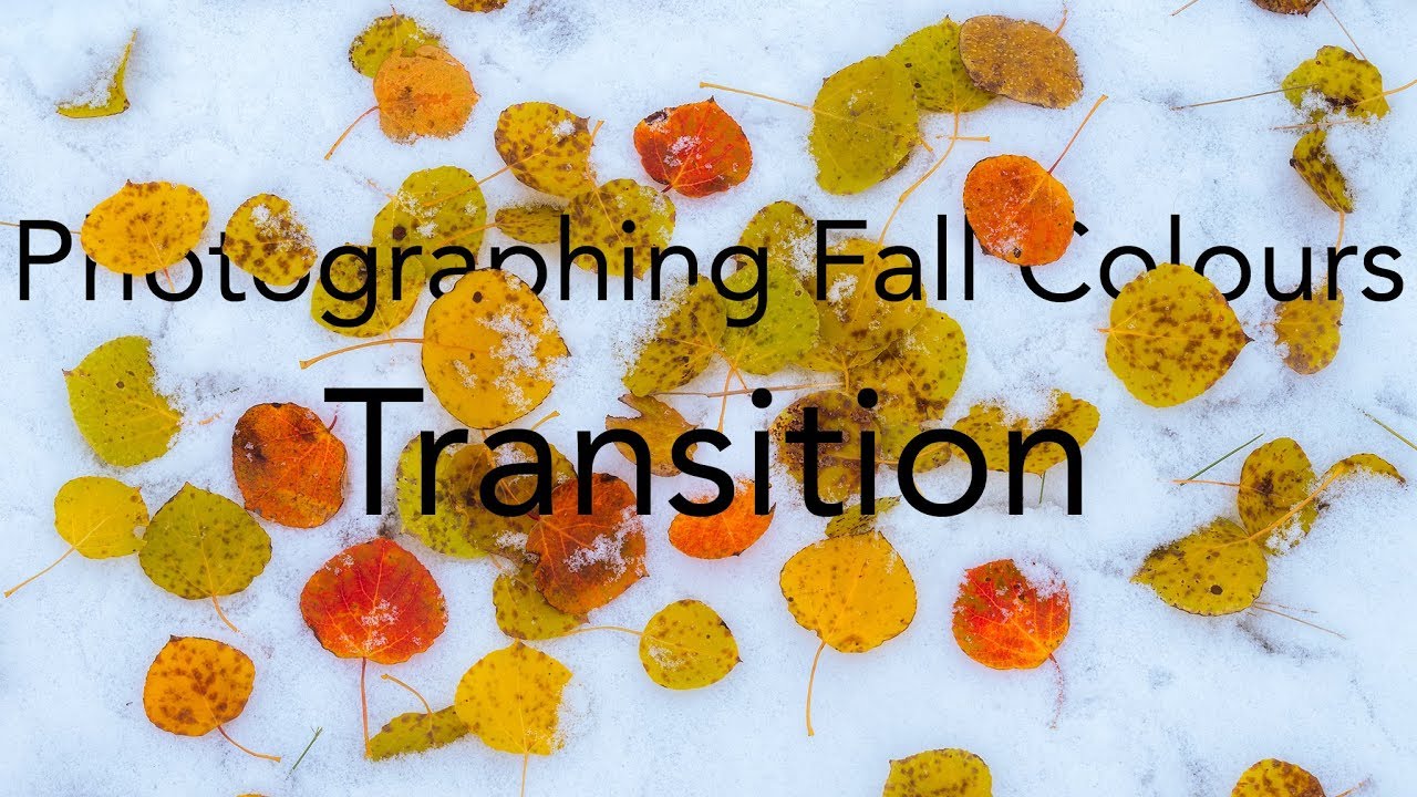 Landscape Photography | Photographing the Transition Between Autumn and ...