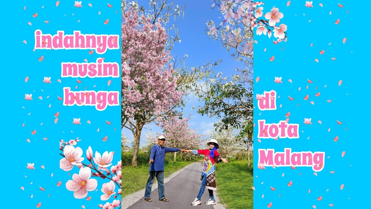 Indahnya musim bunga di kota Malang - YouTube