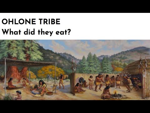 Ohlone Tribe: What did they eat? - YouTube