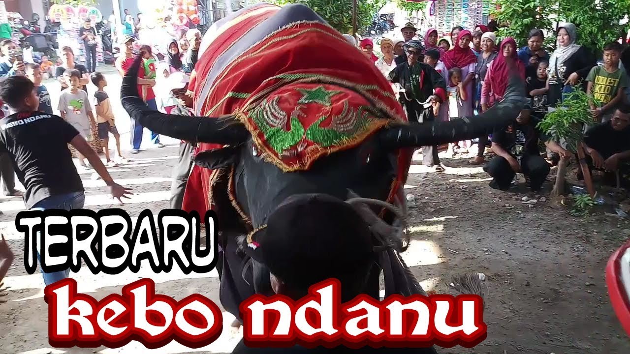 kesenian kebo ndanu - YouTube