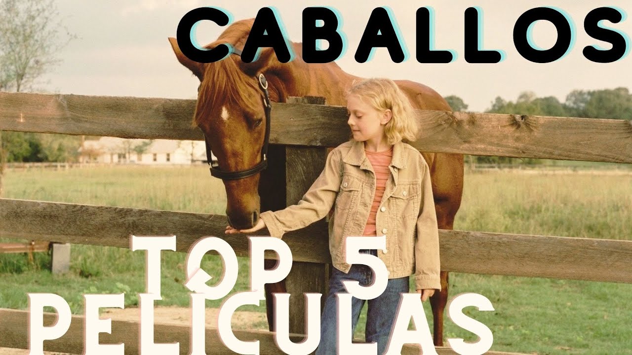 Películas Top 5 de caballos - YouTube
