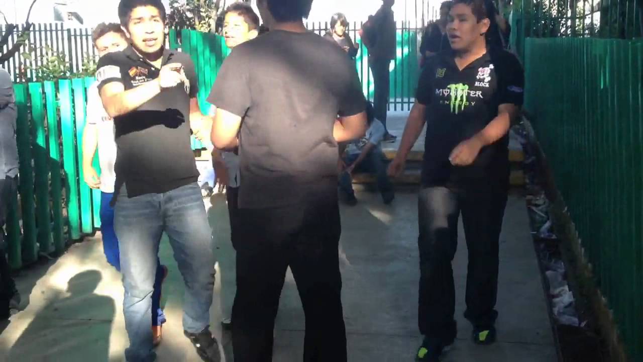 Burro castigado parte 18 - YouTube