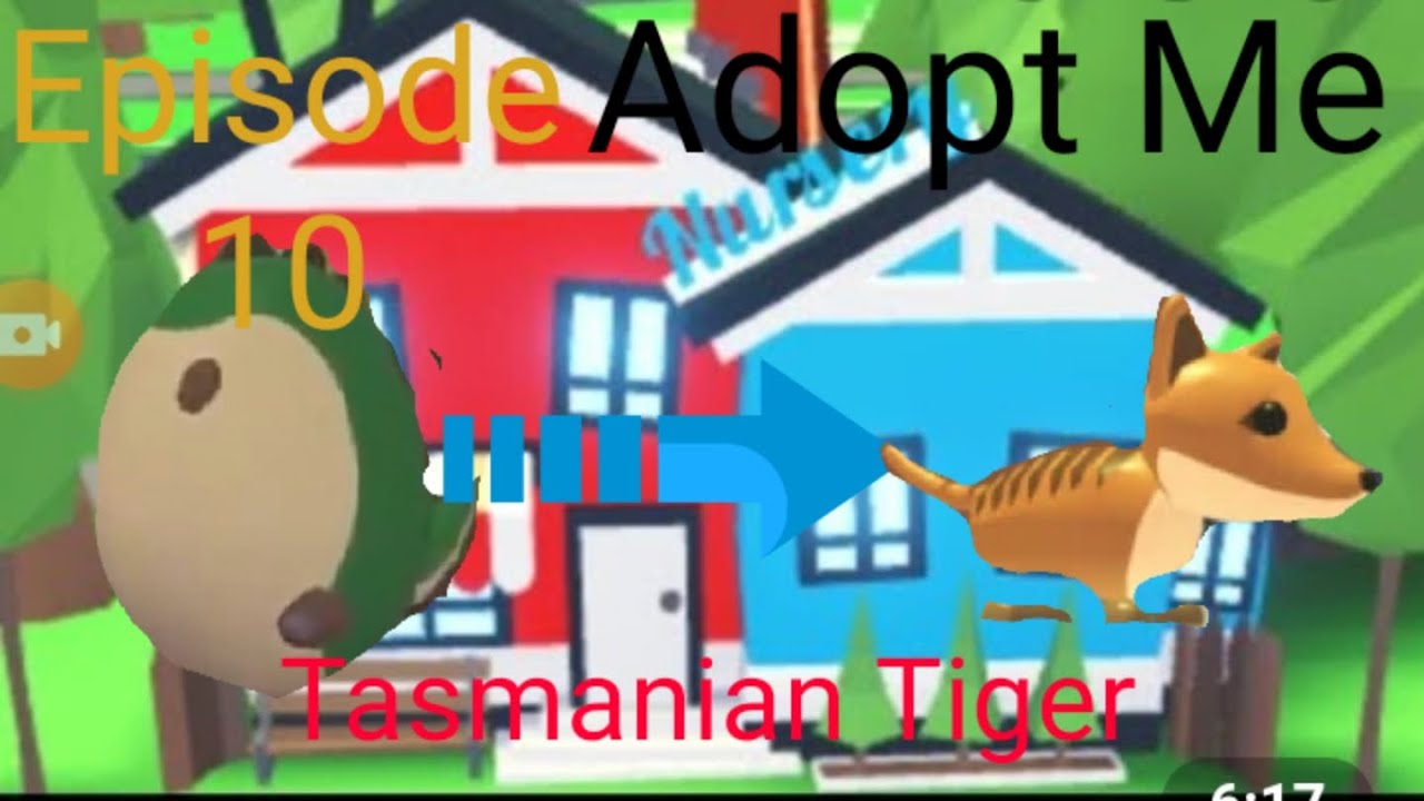 I got a Tasmanian Tiger! Roblox Adopt me Episode 10 - YouTube