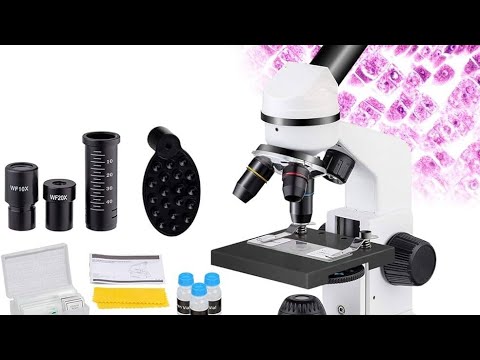 Histology Lec.1 Microtechnique - YouTube