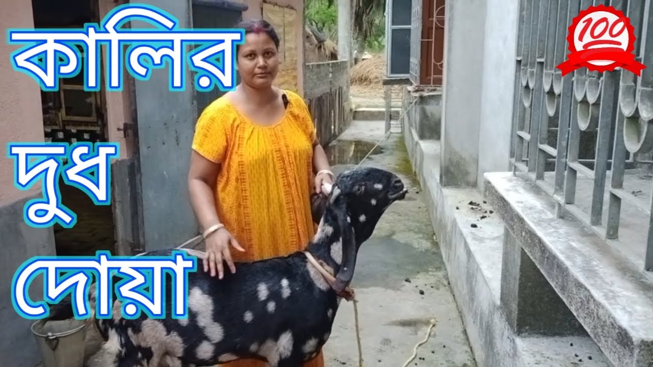 কালির দুধ দোয়া ভিডিও। Kali milk prayer video part 1 - YouTube