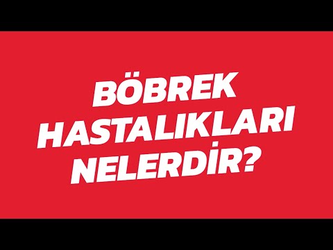 Böbrek Hastalıkları Nelerdir? #böbrekhastalıkları