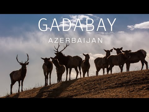 Gadabay. Azerbaijan