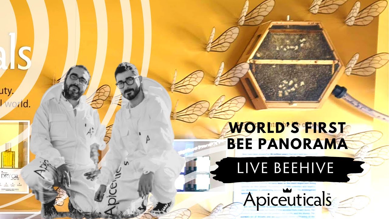 Experience Live Bees within Hotel || Apiceuticals for Porto Carras ...