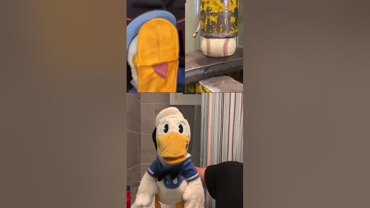 Donald Duck Gets Upset With Donald Duck Shorts Youtube